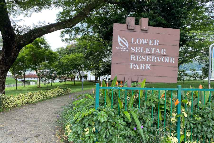 A Visit To Lower Seletar Reservoir Park • The Gees Travel
