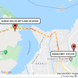 Sungei Buloh Wetland Reserve Guide • The Gees Travel