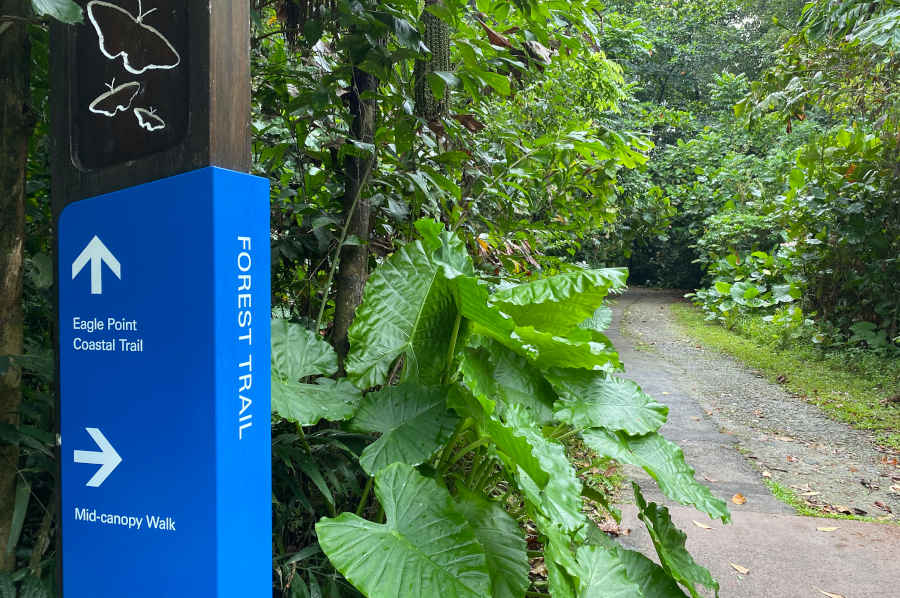 Sungei Buloh Wetland Reserve Guide • The Gees Travel