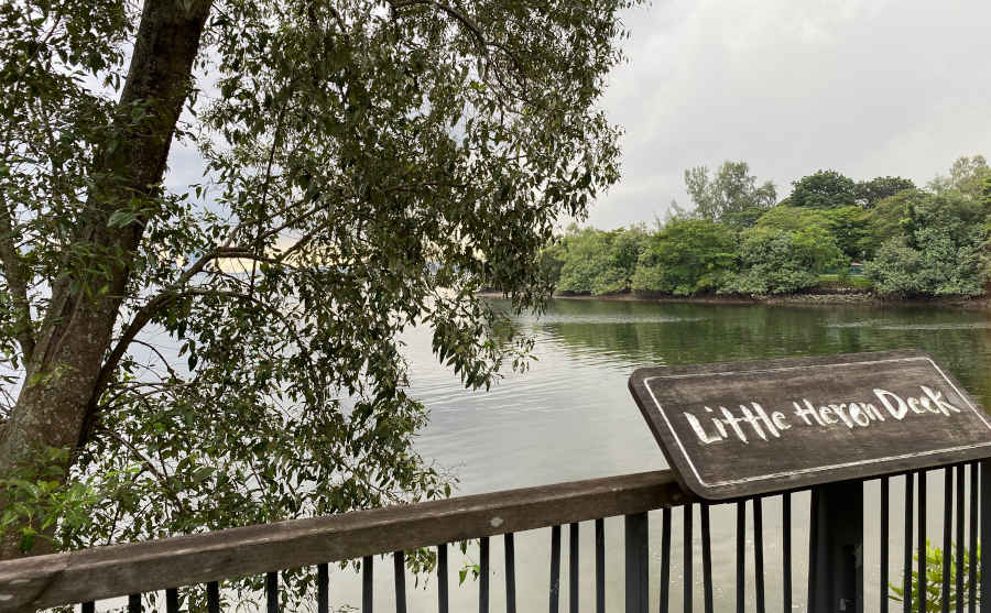 Sungei Buloh Wetland Reserve Guide • The Gees Travel