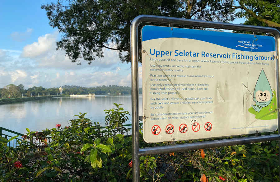 Upper Seletar Reservoir Park | Recommended Things To Do • The Gees Travel