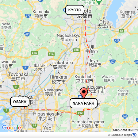 Nara Park In Japan | Things To Do • The Gees Travel