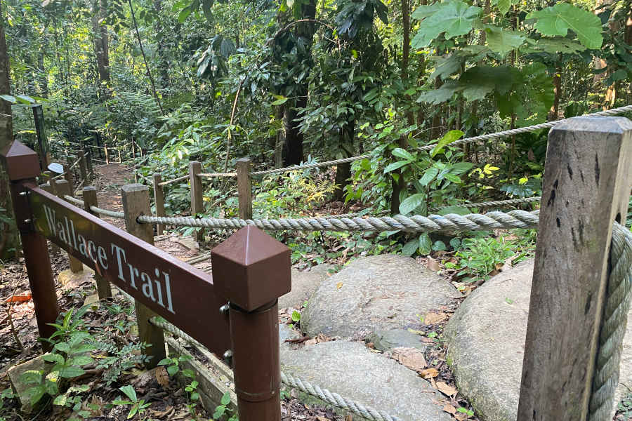 Dairy Farm Nature Park Hiking Guide • The Gees Travel