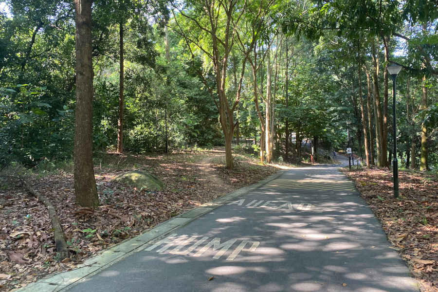 Zhenghua Nature Park Guide • The Gees Travel