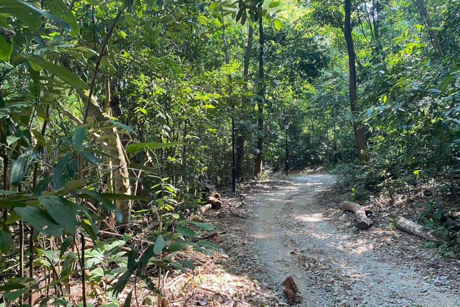 Zhenghua Nature Park Guide • The Gees Travel