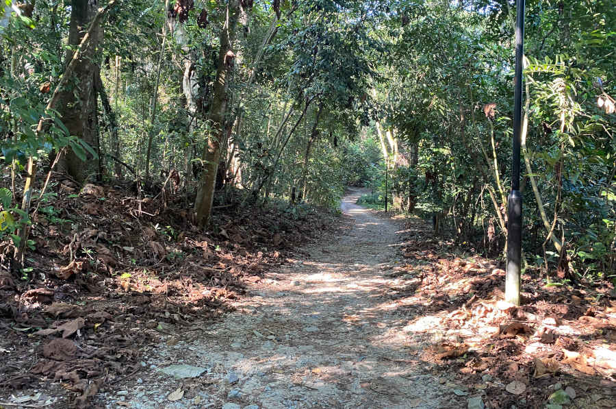 Zhenghua Nature Park Guide • The Gees Travel