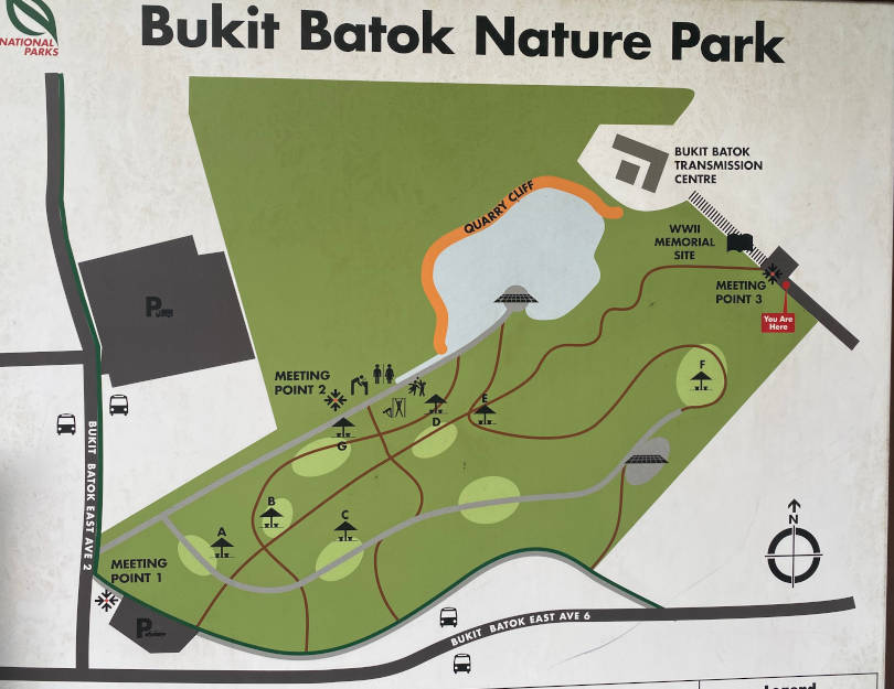 Bukit Batok Nature Park Visitor's Guide • The Gees Travel