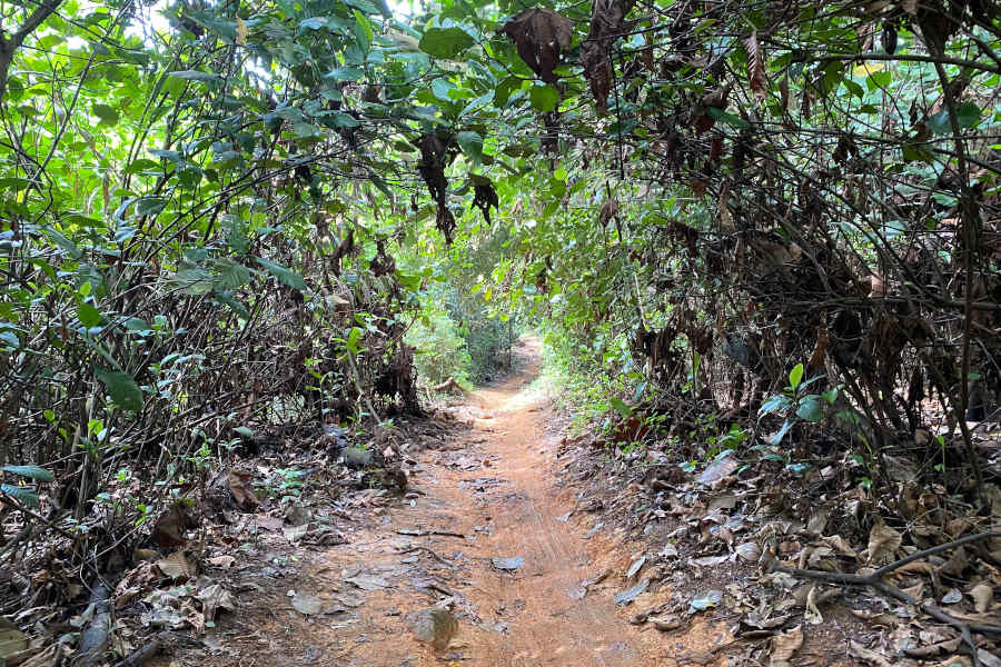 Chestnut Nature Park - Hiking Guide • The Gees Travel