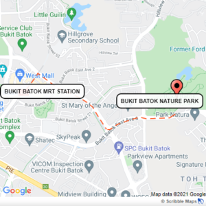 Bukit Batok Nature Park Visitor's Guide • The Gees Travel