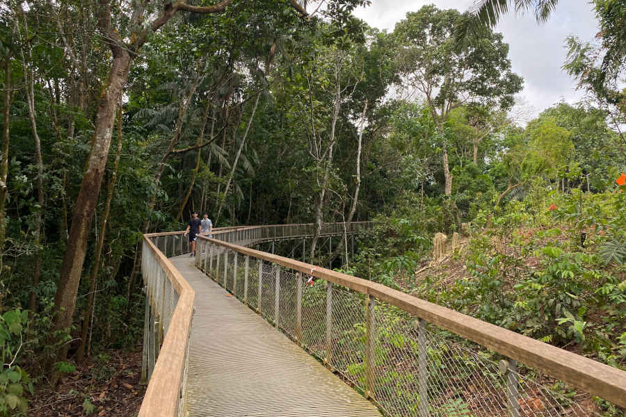 Windsor Nature Park - Hiking Through The Trails • The Gees Travel