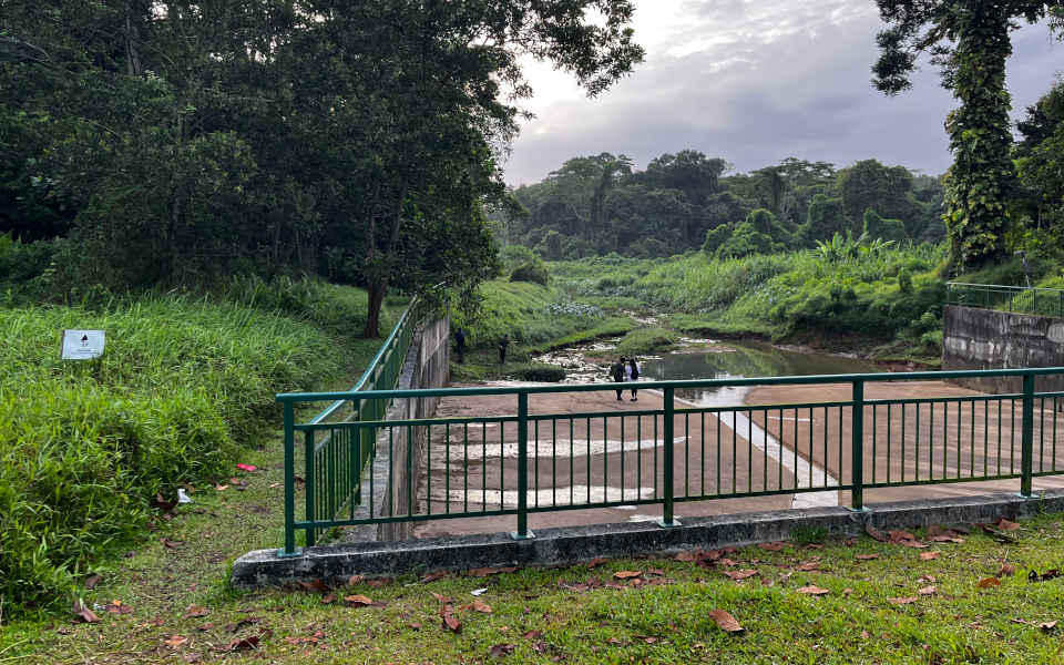 Clementi Forest Hiking Experience • The Gees Travel