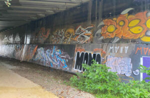 A Walk Through Green Corridor Singapore • The Gees Travel