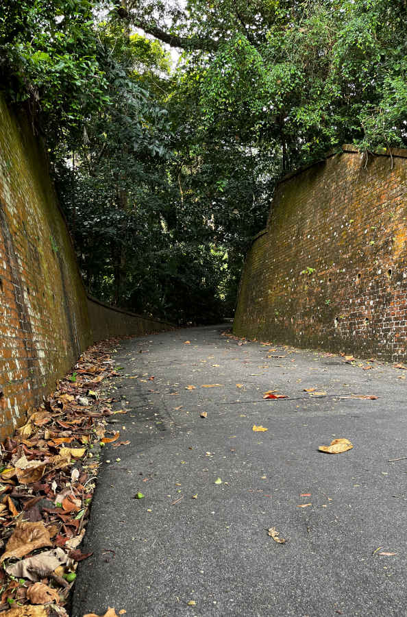 A Guide To Labrador Park Singapore • The Gees Travel