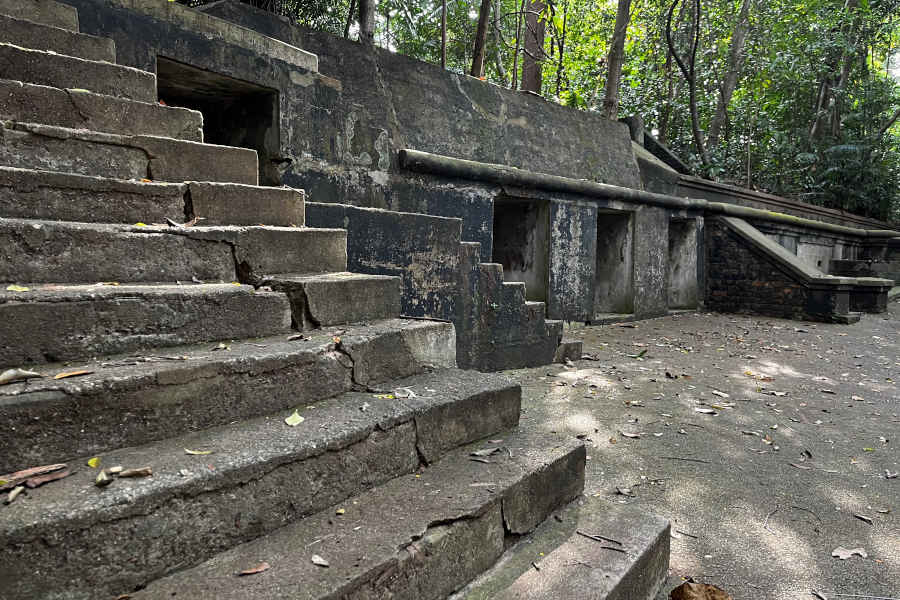 A Guide To Labrador Park Singapore • The Gees Travel