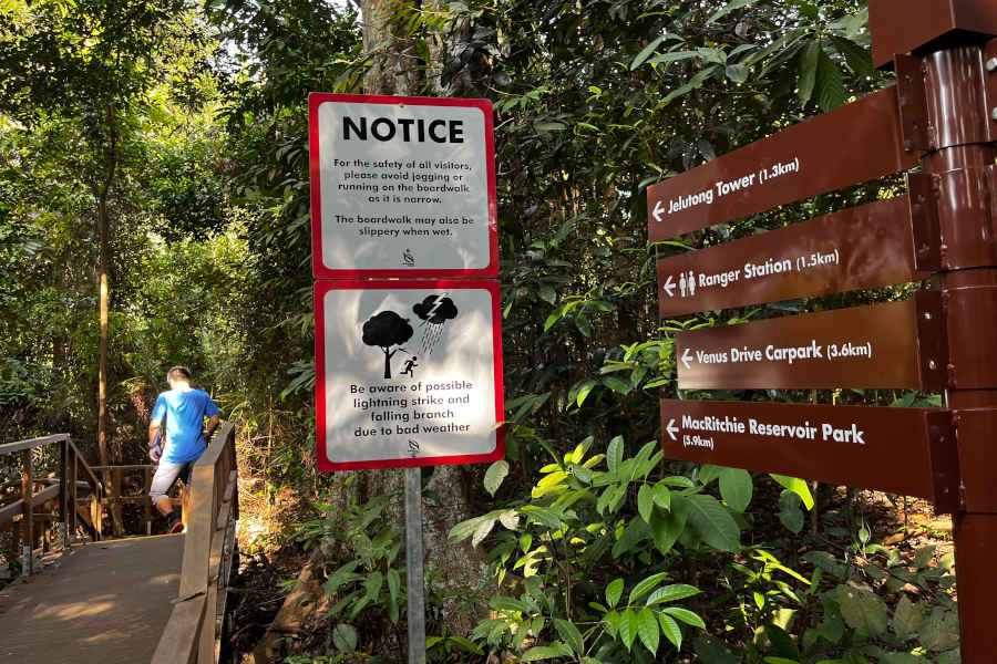 Treetop Walk Singapore Experience • The Gees Travel