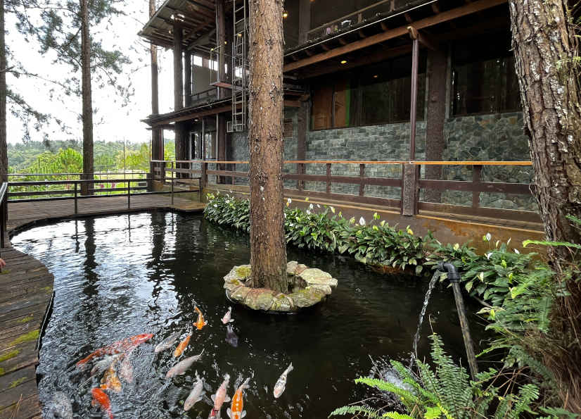 Dahilayan Forest Park Guide • The Gees Travel