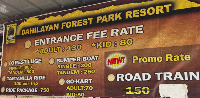 Dahilayan Forest Park Guide • The Gees Travel