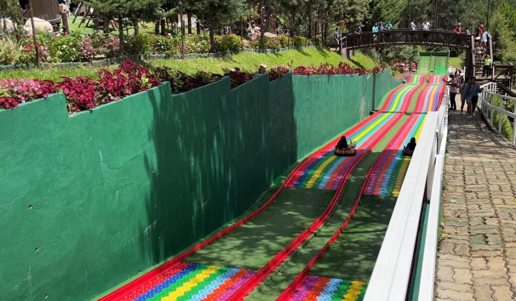 Dahilayan Forest Park Guide • The Gees Travel