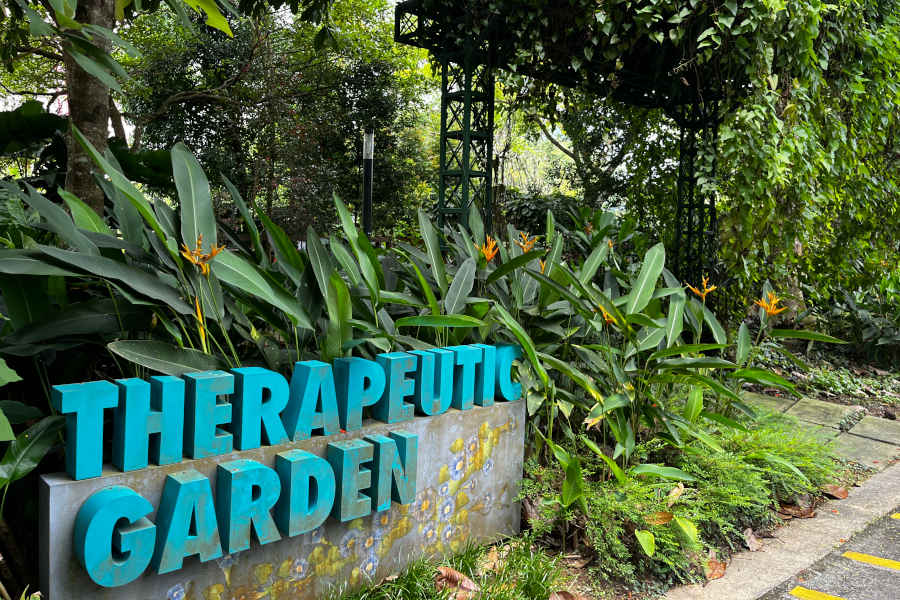 Hort Park Singapore - A Garden For Everyone • The Gees Travel
