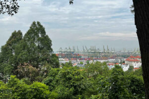 Kent Ridge Park Singapore - Canopy Walk and Hilly Slopes