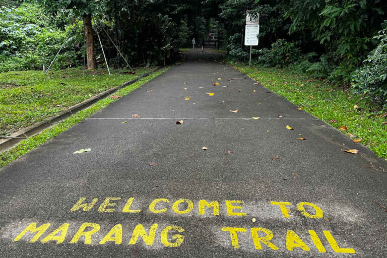 Southern Ridges Singapore - Great Walking Experience • The Gees Travel
