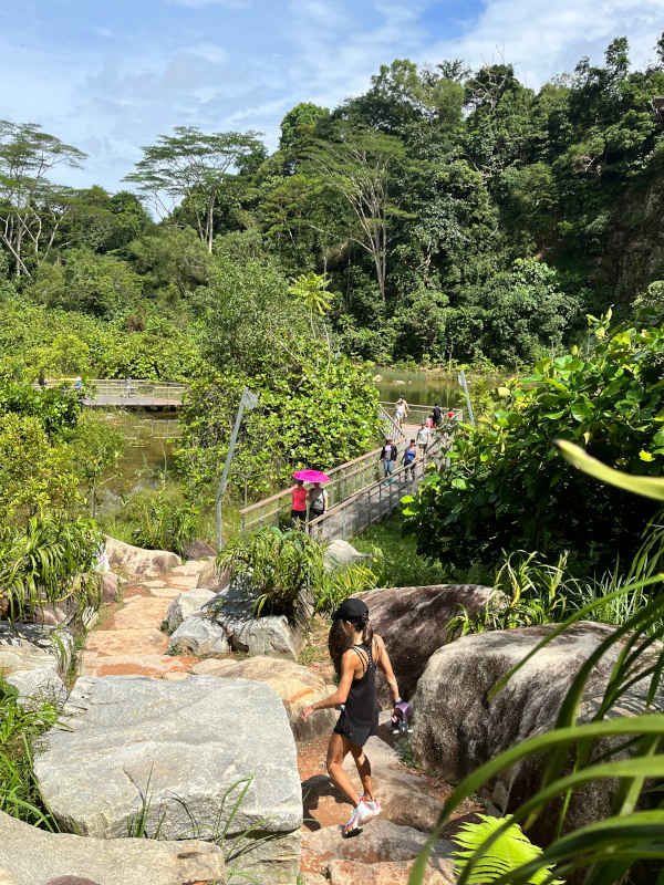 Our Guide To Riffle Range Nature Park