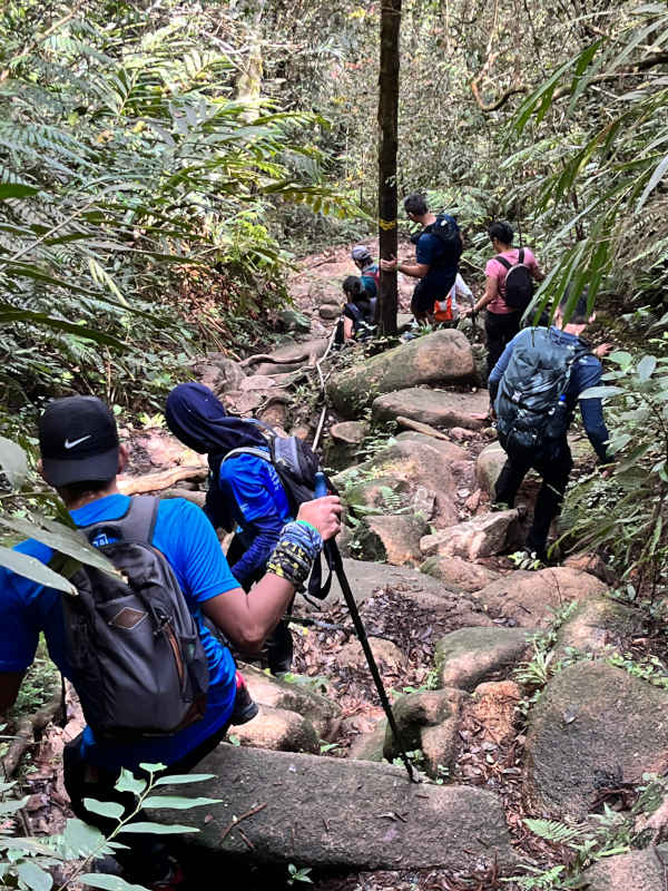 Mount Ophir Day Hike Guide • The Gees Travel