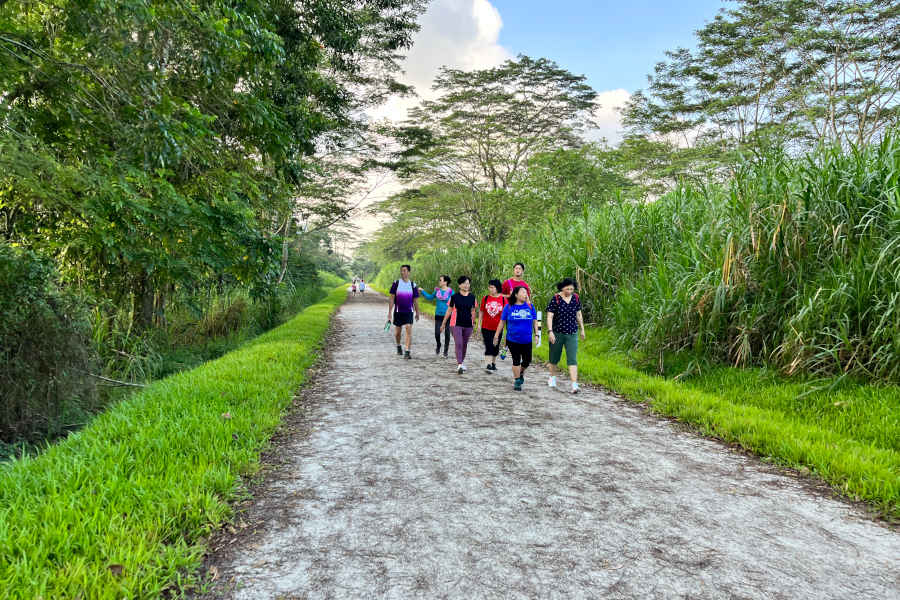 Rail Corridor North Singapore Trails • The Gees Travel