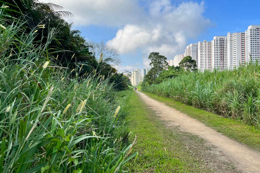 Rail Corridor North Singapore Trails • The Gees Travel