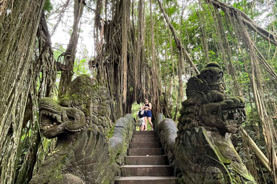 Our Visit To Monkey Forest Bali Indonesia • The Gees Travel