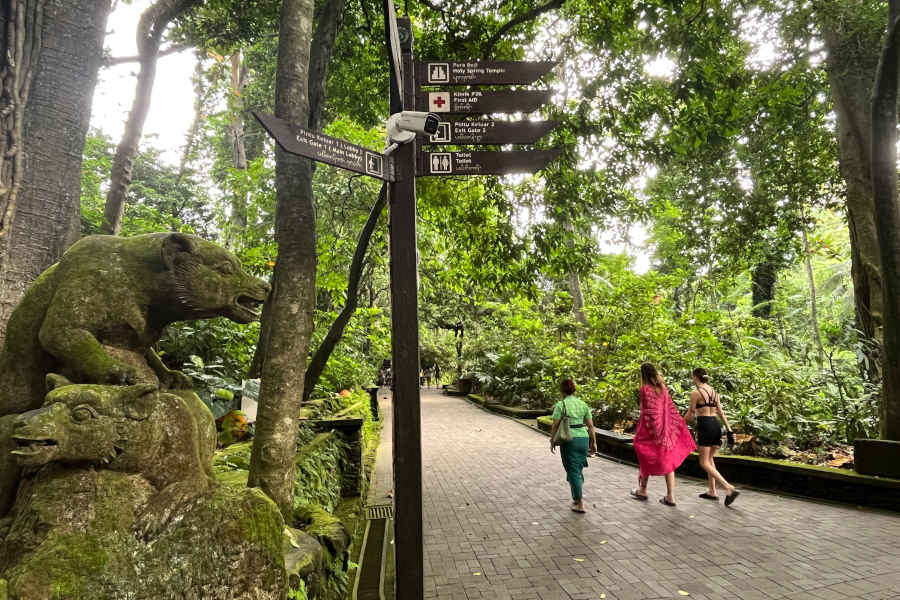 Our Visit To Monkey Forest Bali Indonesia • The Gees Travel