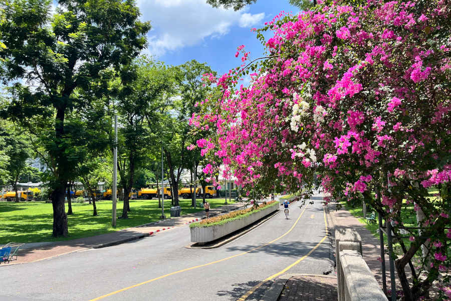 Lumphini Park Bangkok Thailand • The Gees Travel