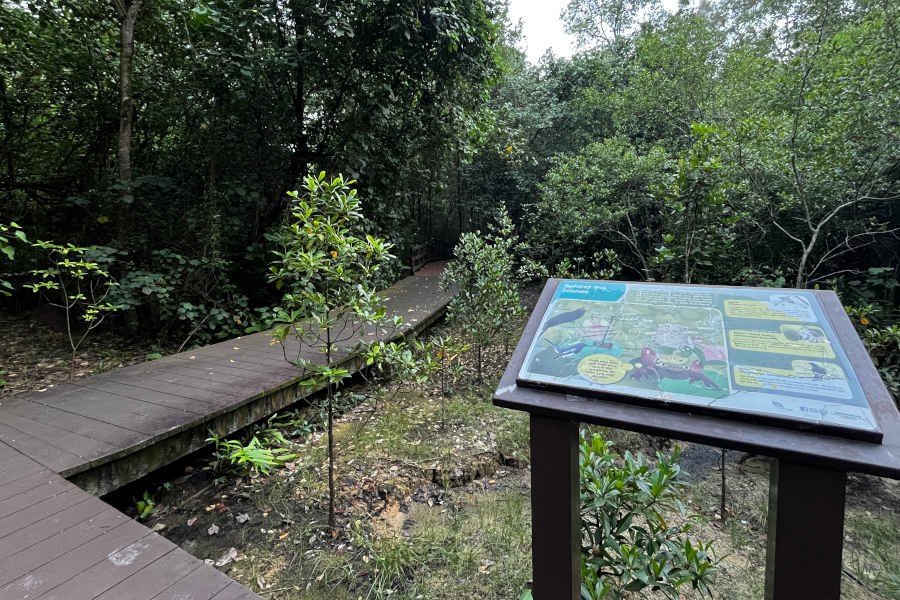 Pasir Ris Park Singapore • The Gees Travel