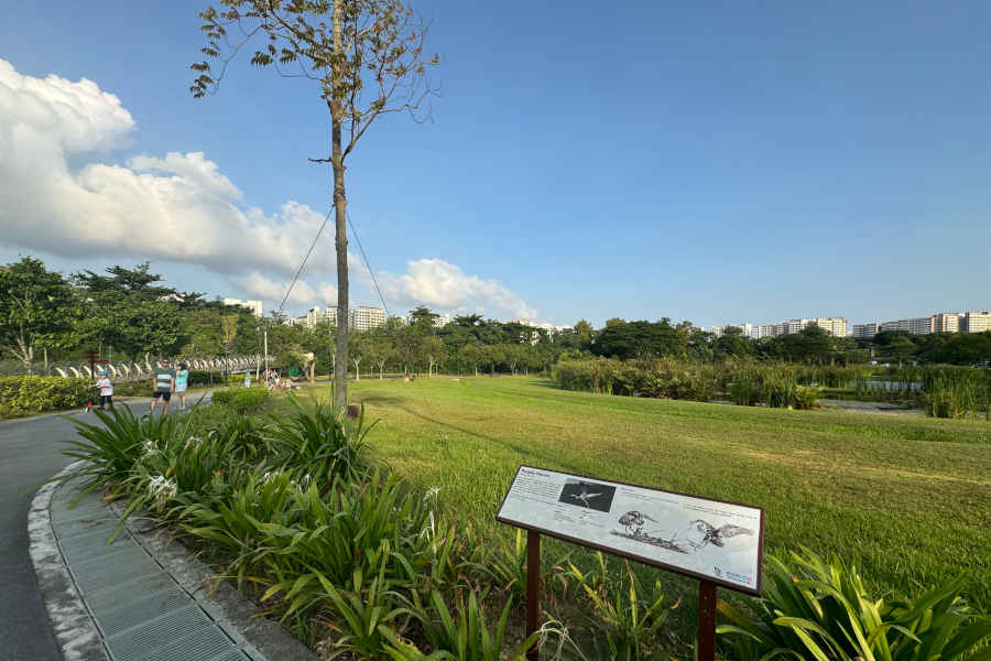 Sengkang Riverside Park Singapore • The Gees Travel