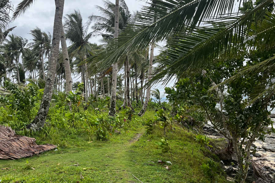 Daku Island In Siargao • The Gees Travel