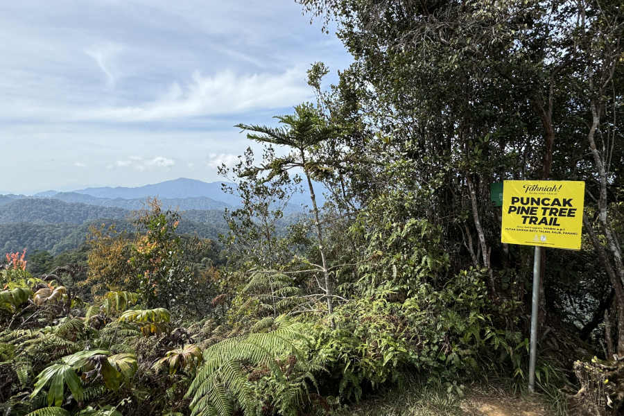 Pine Tree Hill Malaysia Hike - Fraser’s Hill Adventure • The Gees Travel